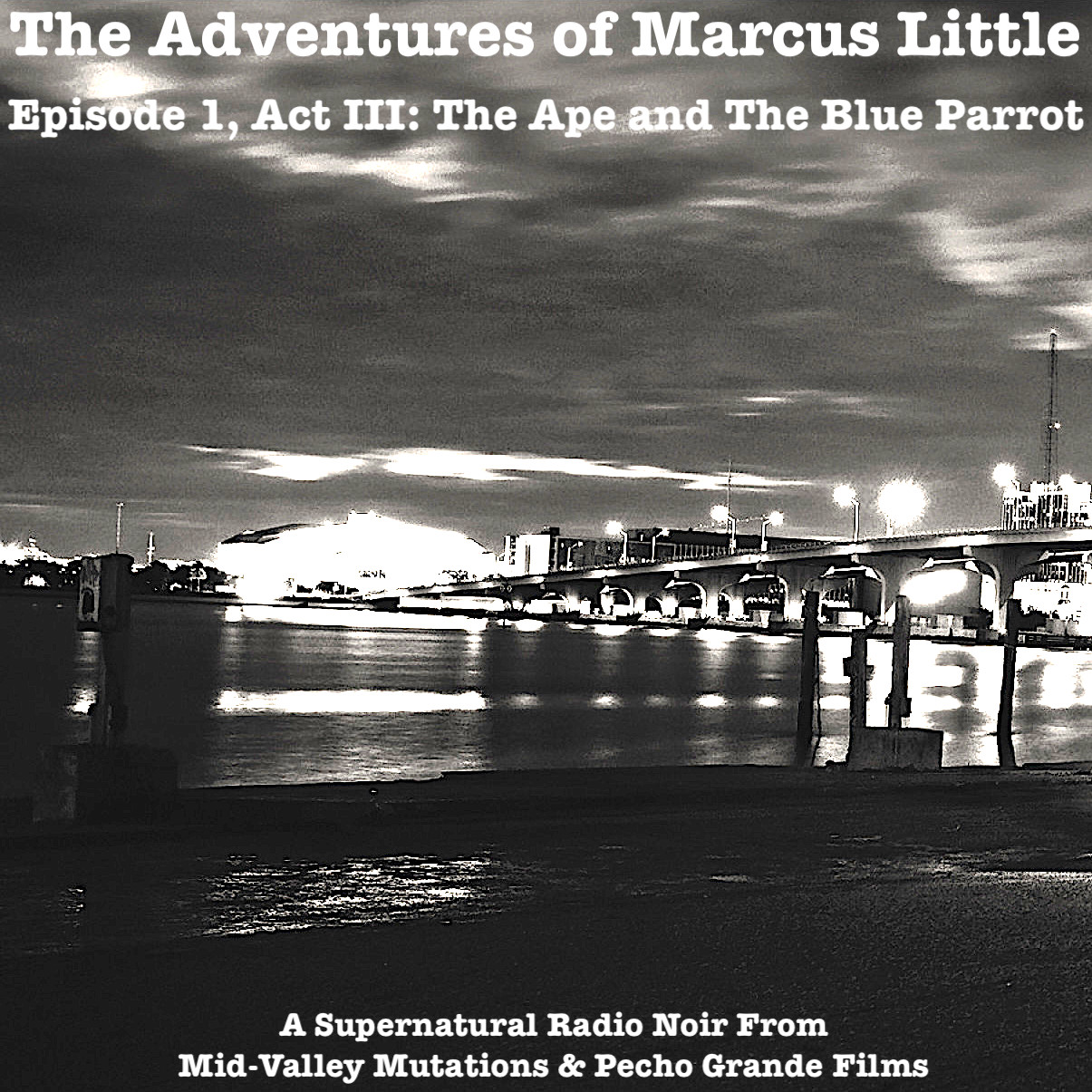 The Adventures of Marcus Little Episode 1, Act III: The Ape and The ...